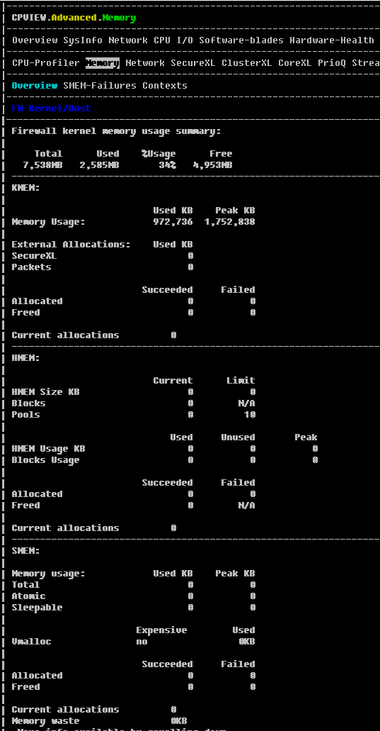 R81 memory stats in CPVIEW - Check Point CheckMates