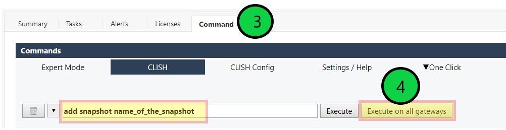 Solved Automatic Snapshots Of All Gateways Check Point Checkmates