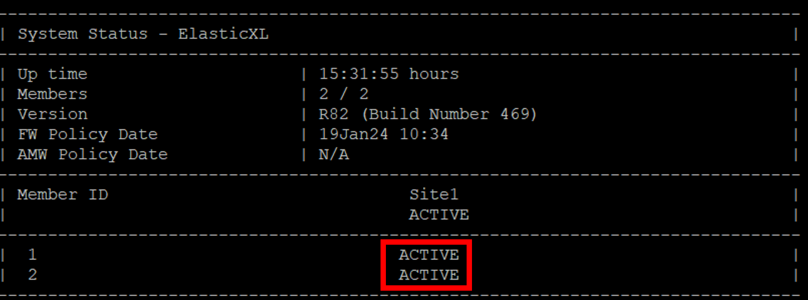 Solved R82 Install Elasticxl Cluster Check Point Checkmates
