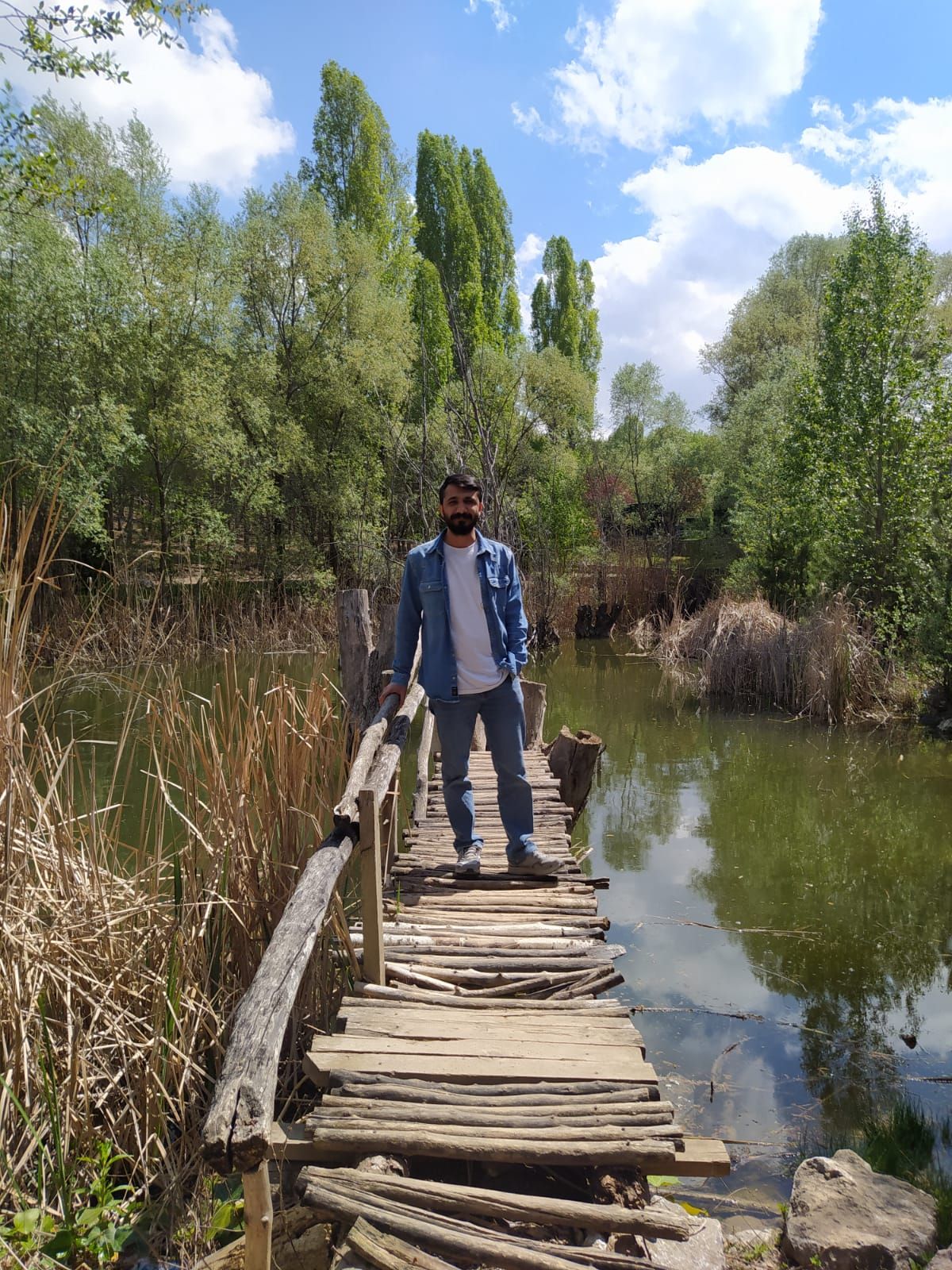 A forest trip - Check Point CheckMates