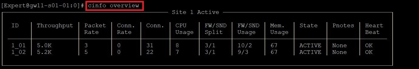 R82 - new interesting commands - Check Point CheckMates