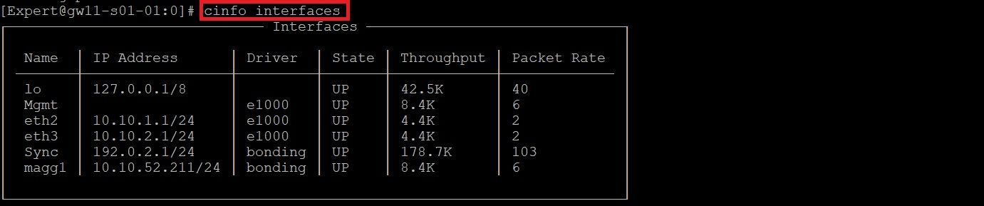 R82 - new interesting commands - Check Point CheckMates
