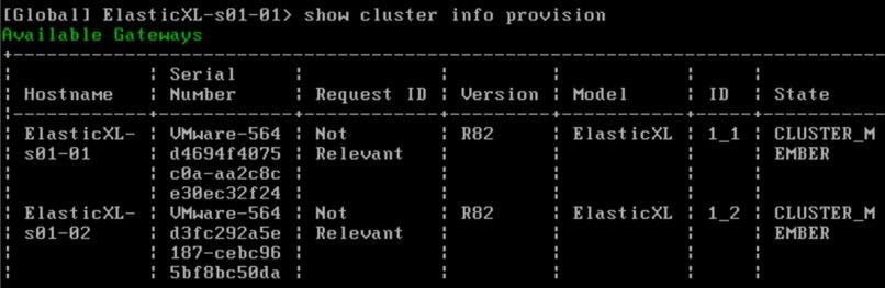 Solved R82 Install Elasticxl Cluster Check Point Checkmates