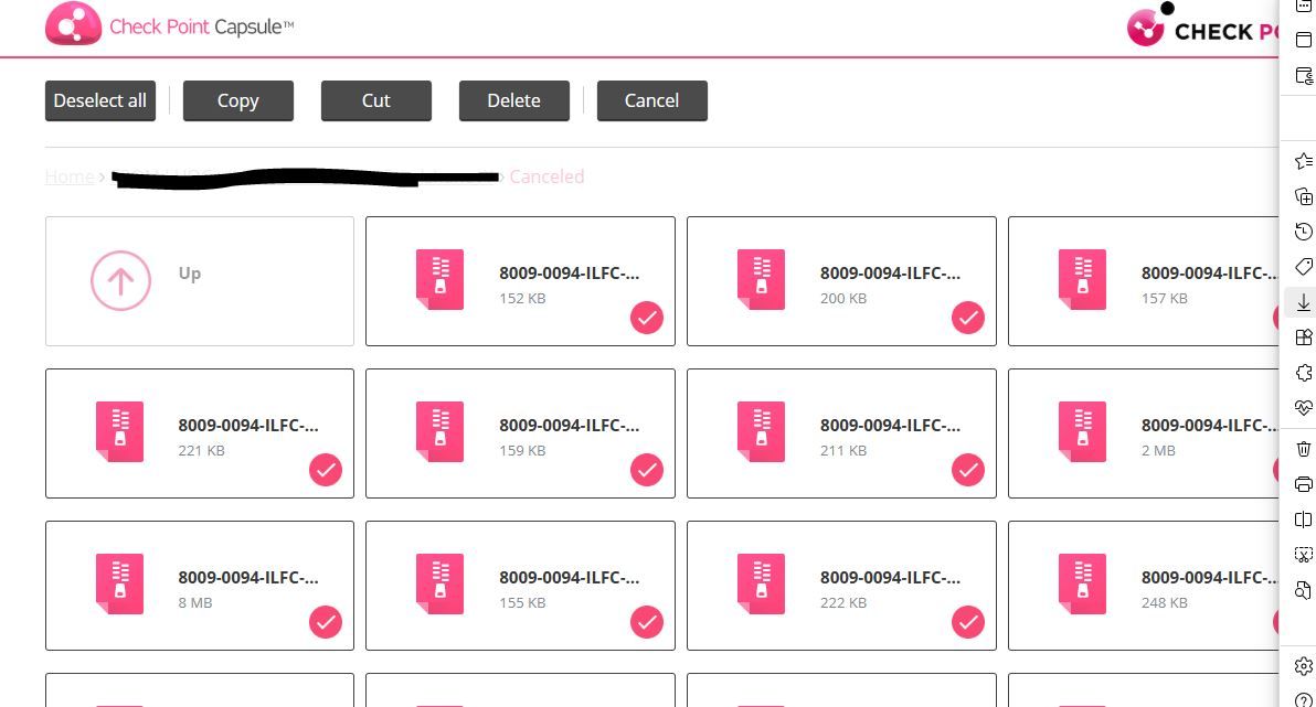 MAB portal File Share App web-interface customizat... - Check Point ...