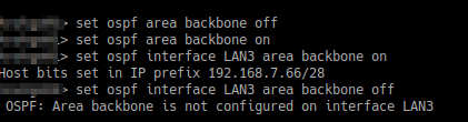 Solved: OSPF on SMB 1490 Cluster - Check Point CheckMates