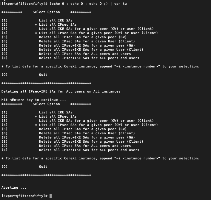 Solved Delete Vpn Tunnel From The Cli Check Point Checkmates 